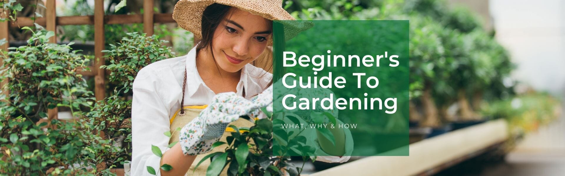 Why Start a Garden? Simple Gardening Tips for Beginners With Any Space ...