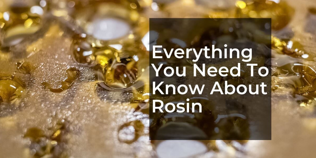What Is Rosin And Why Is Everyone Raving About It? — Grow Light Central