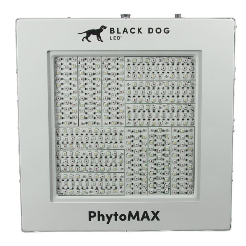 Black Dog LED Lights for Sale — Grow Light Central