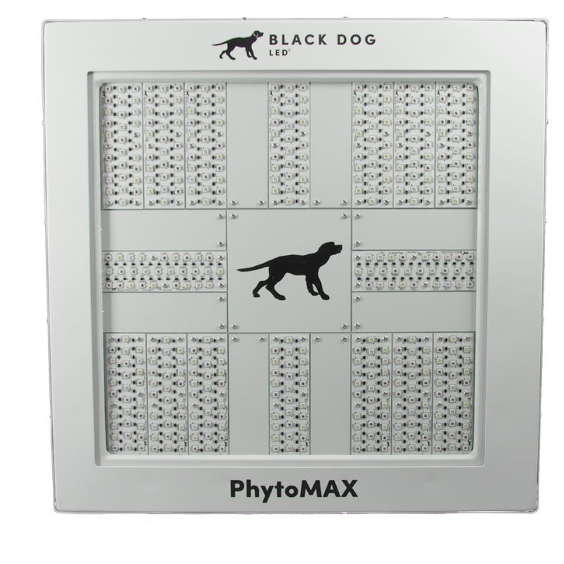 Black Dog LED Lights for Sale — Grow Light Central