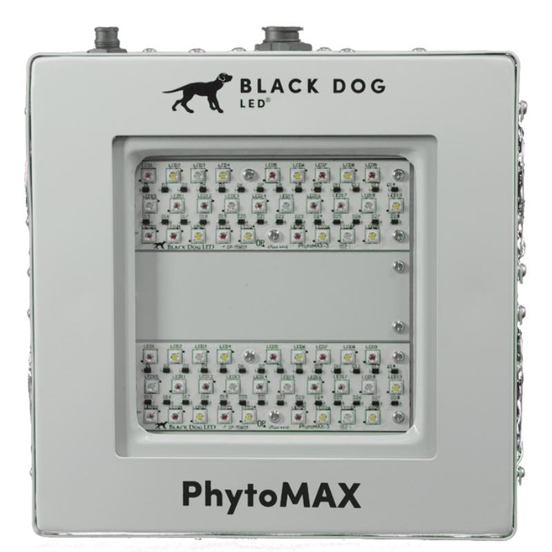 Black Dog LED Lights for Sale — Grow Light Central