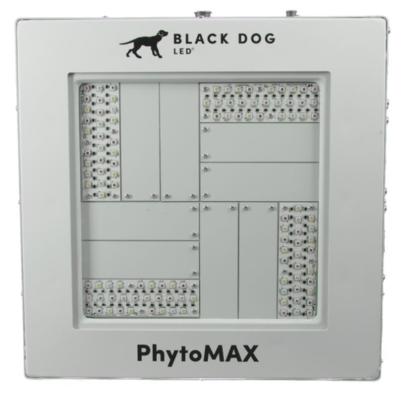 Black Dog LED Lights for Sale — Grow Light Central
