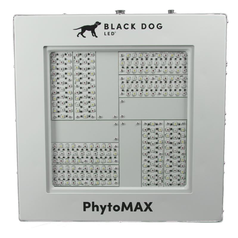Black Dog LED Lights for Sale — Grow Light Central