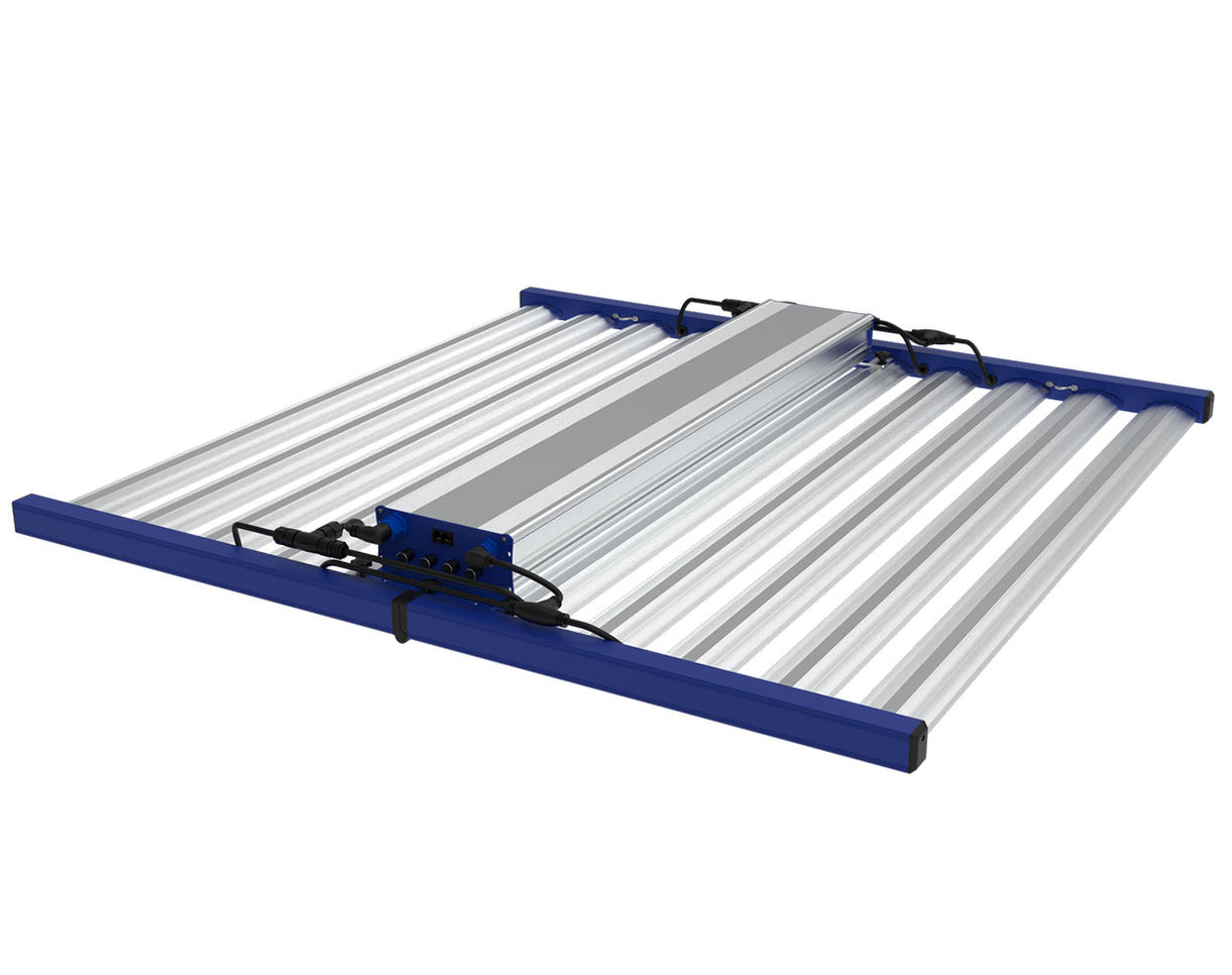 Grand Master Tarantula Borg Evolution V2 Grow Light — Grow Light Central