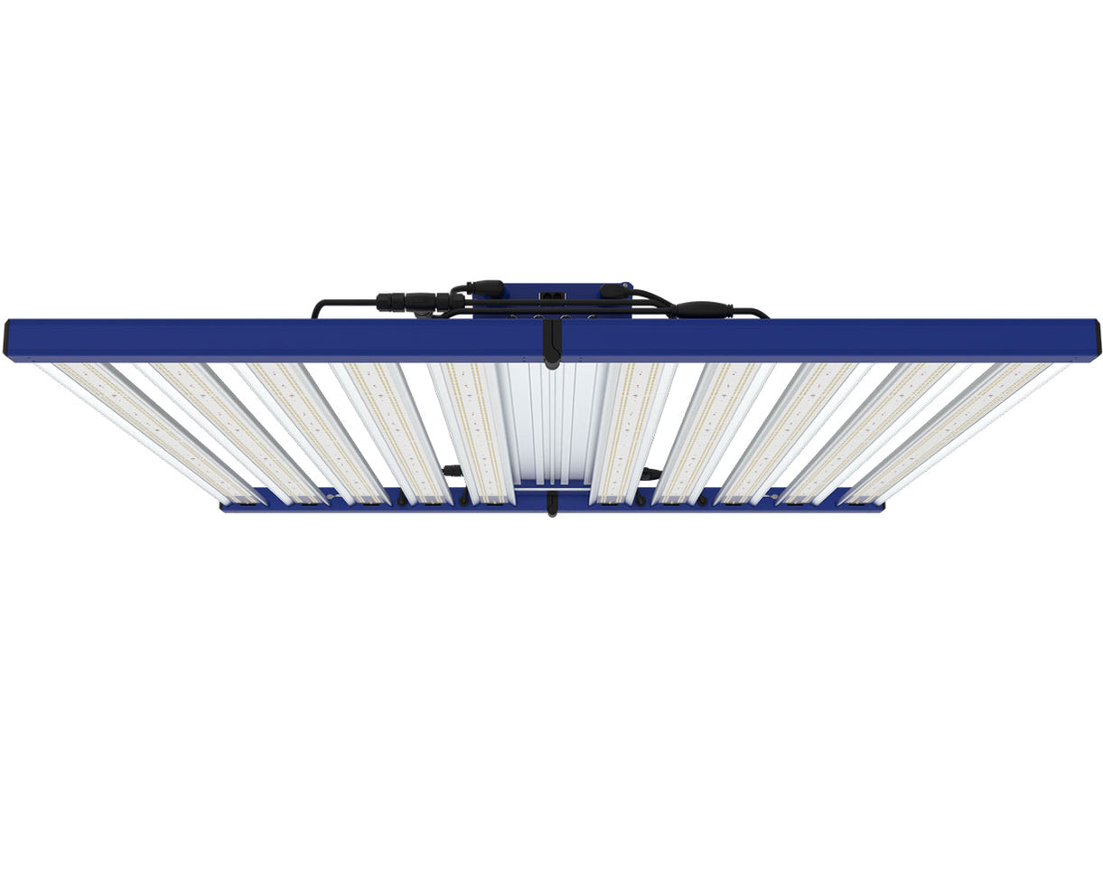 Grand Master Tarantula Borg Evolution V2 Grow Light — Grow Light Central