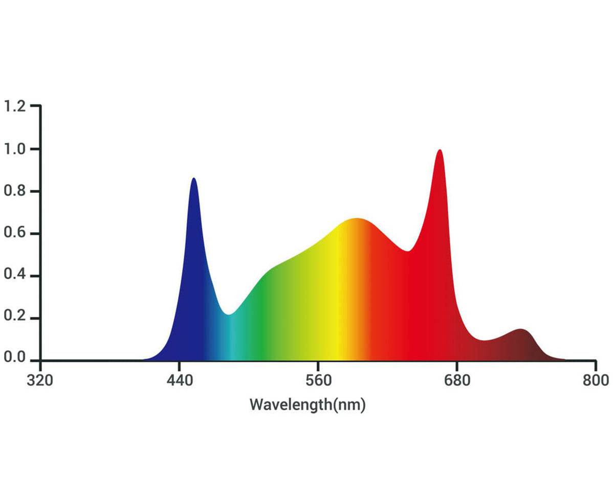 Grand Master LEDs Grow Lights - Shop Now — Grow Light Central