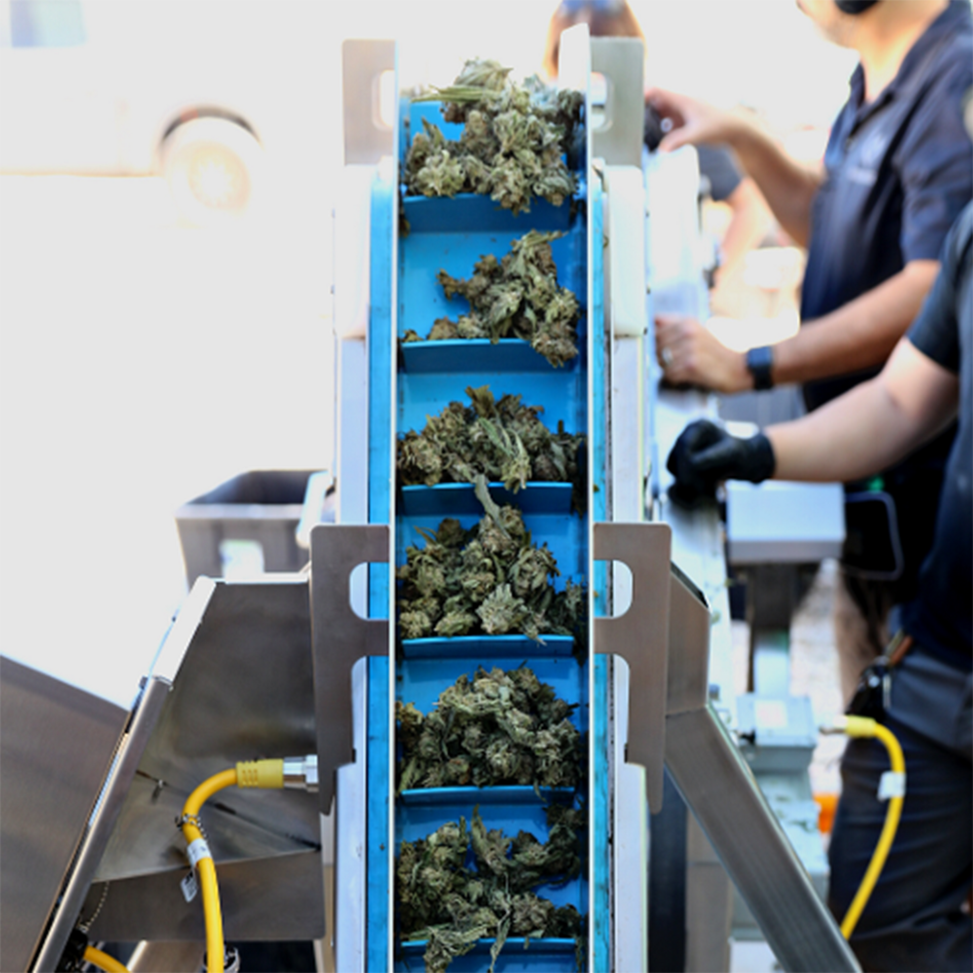 GreenBroz Rise Bud Conveyor — Grow Light Central